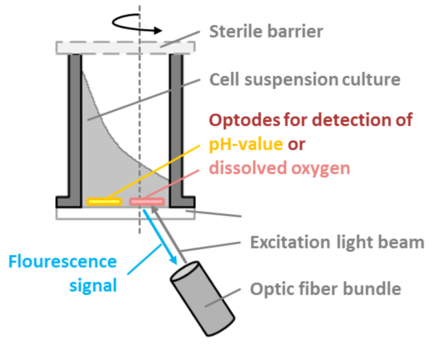 Mode of operation of optical sensors for dissolved oxygen and pH value Mode of operation of optical sensors for dissolved oxygen and pH value