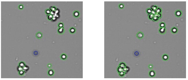 Comparative Performance Analysis Of Cho And Hek Cells Using Vi Cell Blu