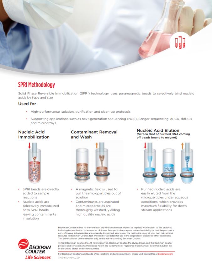 SPRI Bead Technology SPRI Bead Technology