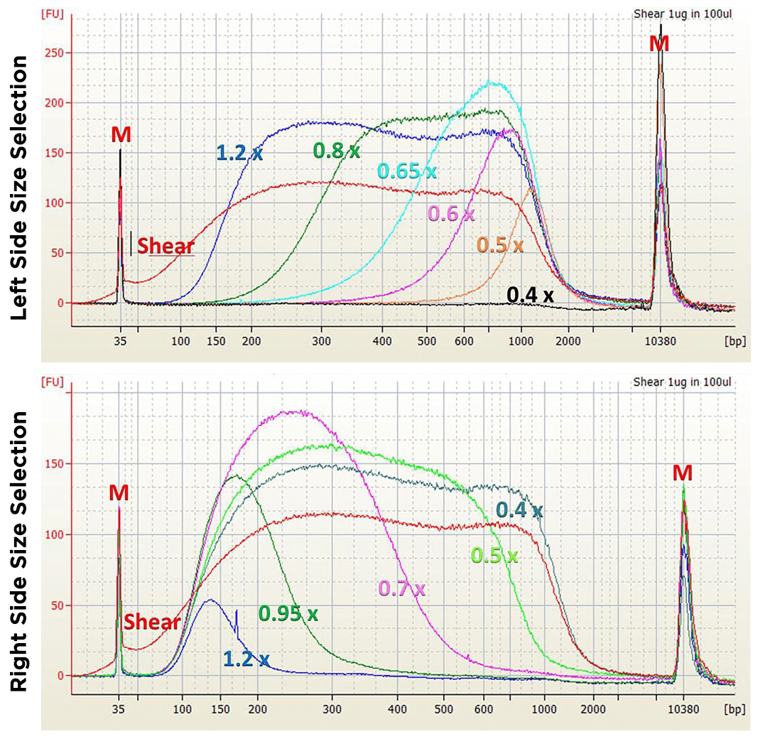FAQ: AMPure XP Beads Size Selection FAQ: AMPure XP Beads Size Selection